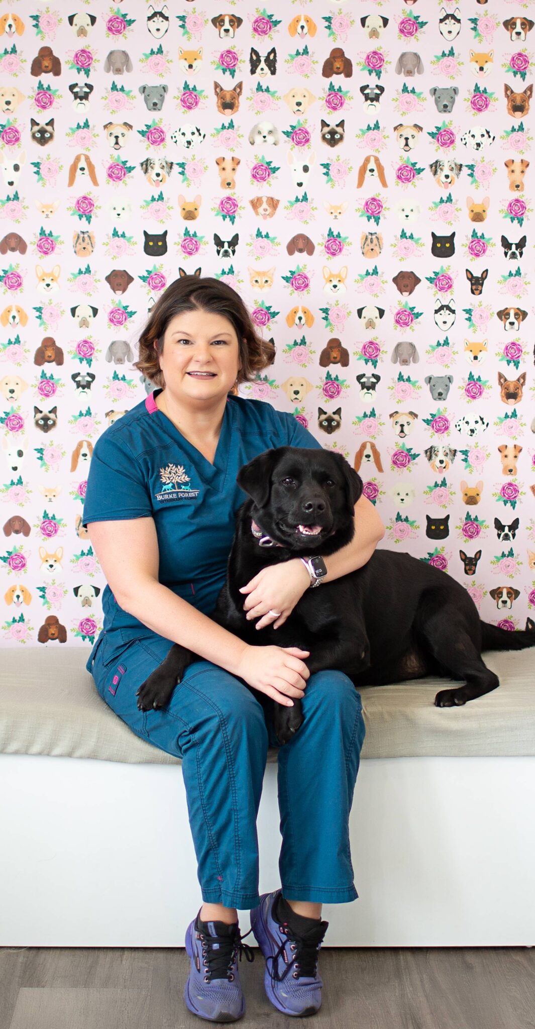 Local Emergency Clinics - Burke Forest Veterinary Clinic